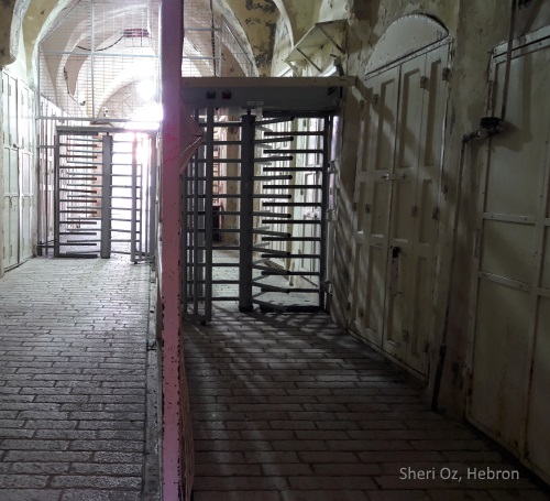 Checkpoint Israel Diaries