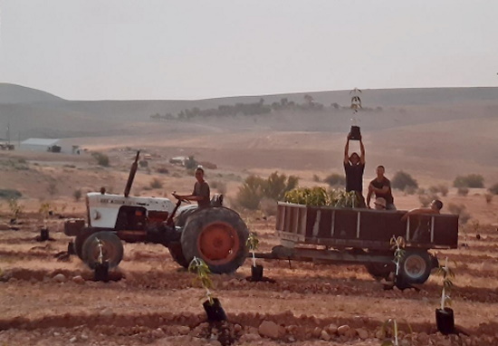 This is how a case against those pesky settlers is made | Israel Diaries